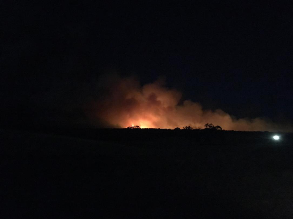 Report from a fire-ravaged farm: The aftermath at Gundooee organic Wag ...